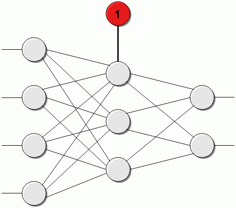 Neuronale Netze - Eine Einführung - Aktivität